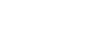 FLANNELS - The Fort